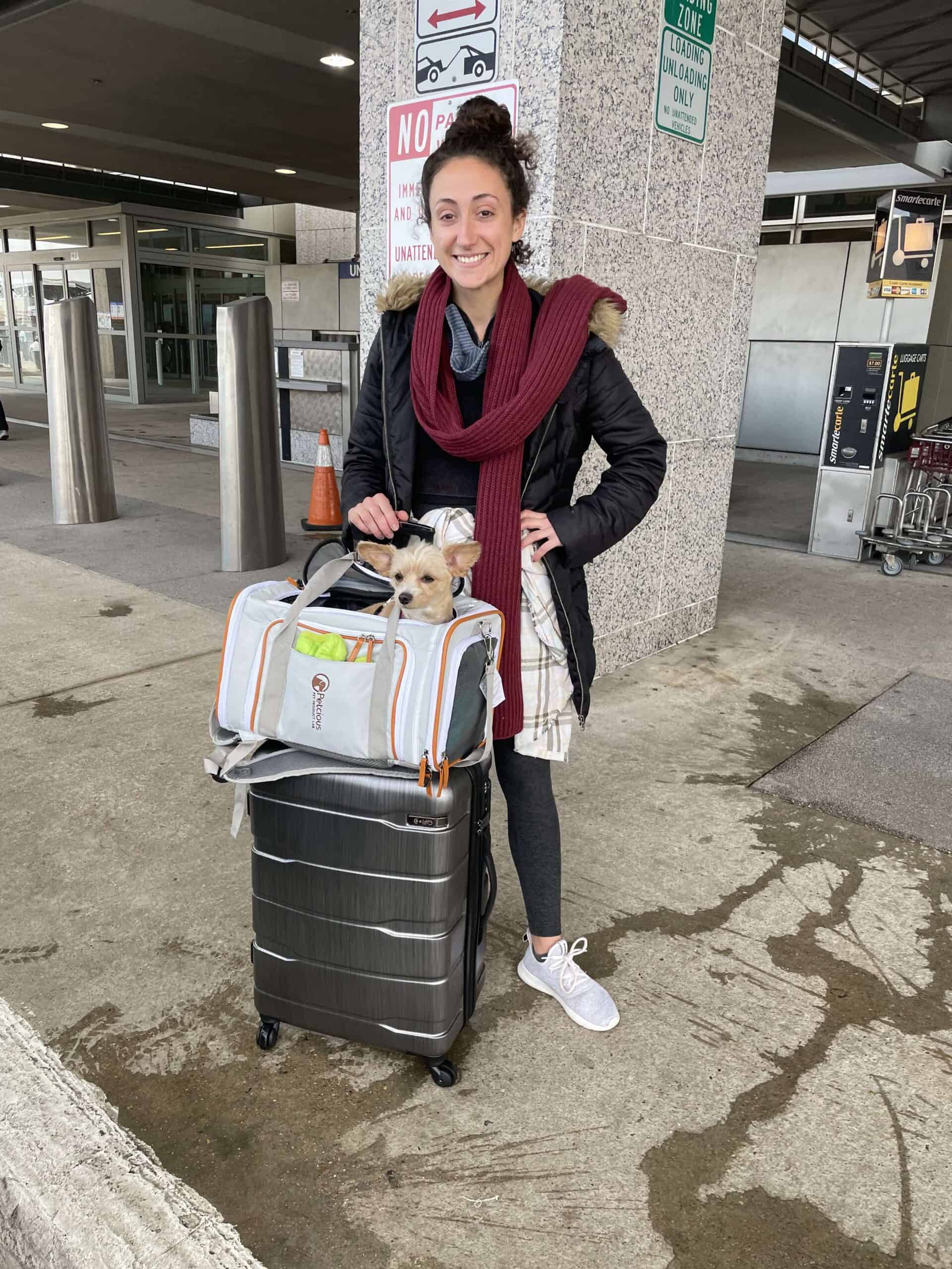 Essential Small Dog Travel Accessories: My Top 14 Picks for Stress-Free ...