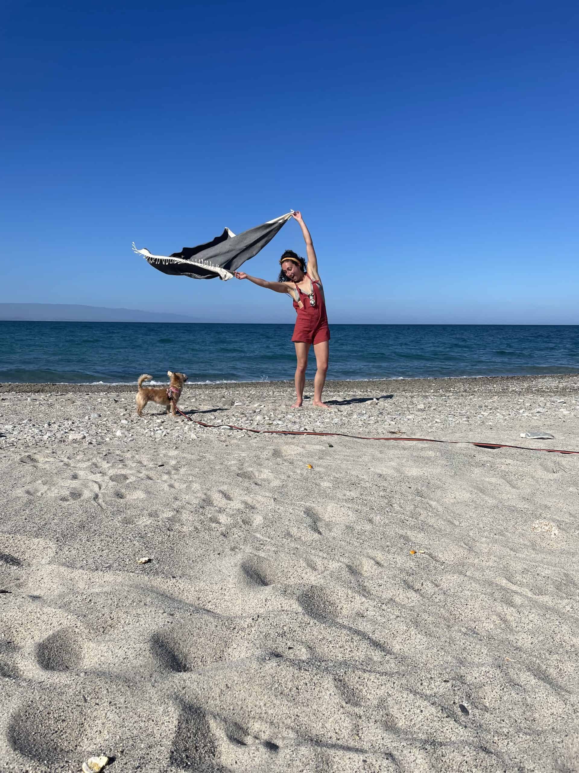 Essential Small Dog Travel Accessories: My Top 14 Picks for Stress-Free ...